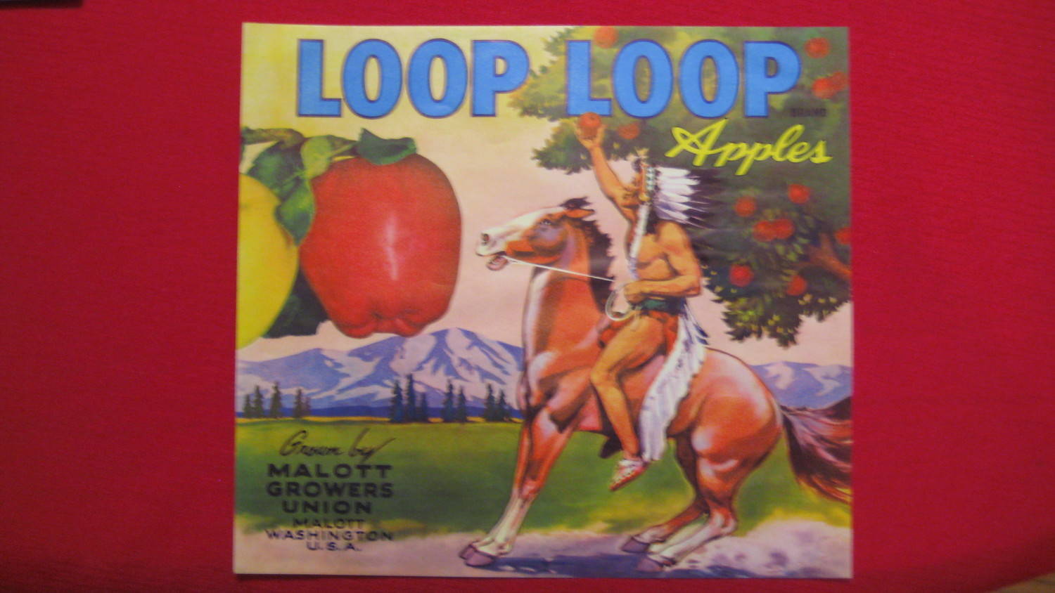 Loop Loop Fruit Crate Label - Yakima Valley Labels