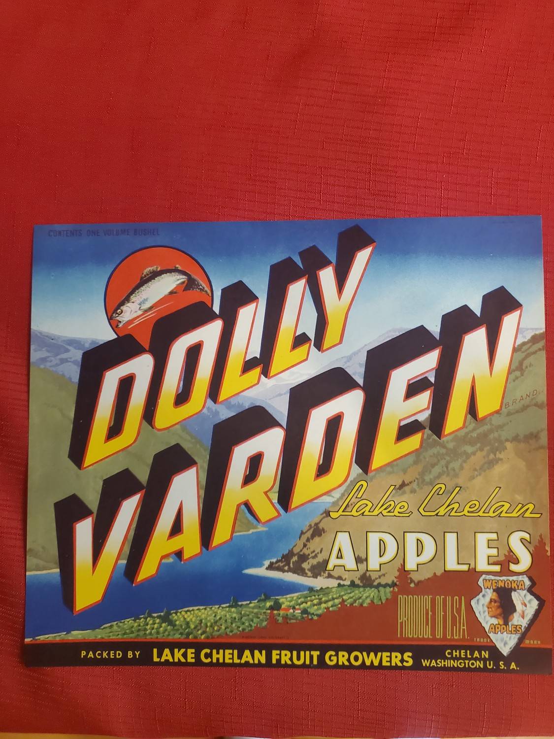 Dolly Varden Fruit Crate Label - Yakima Valley Labels